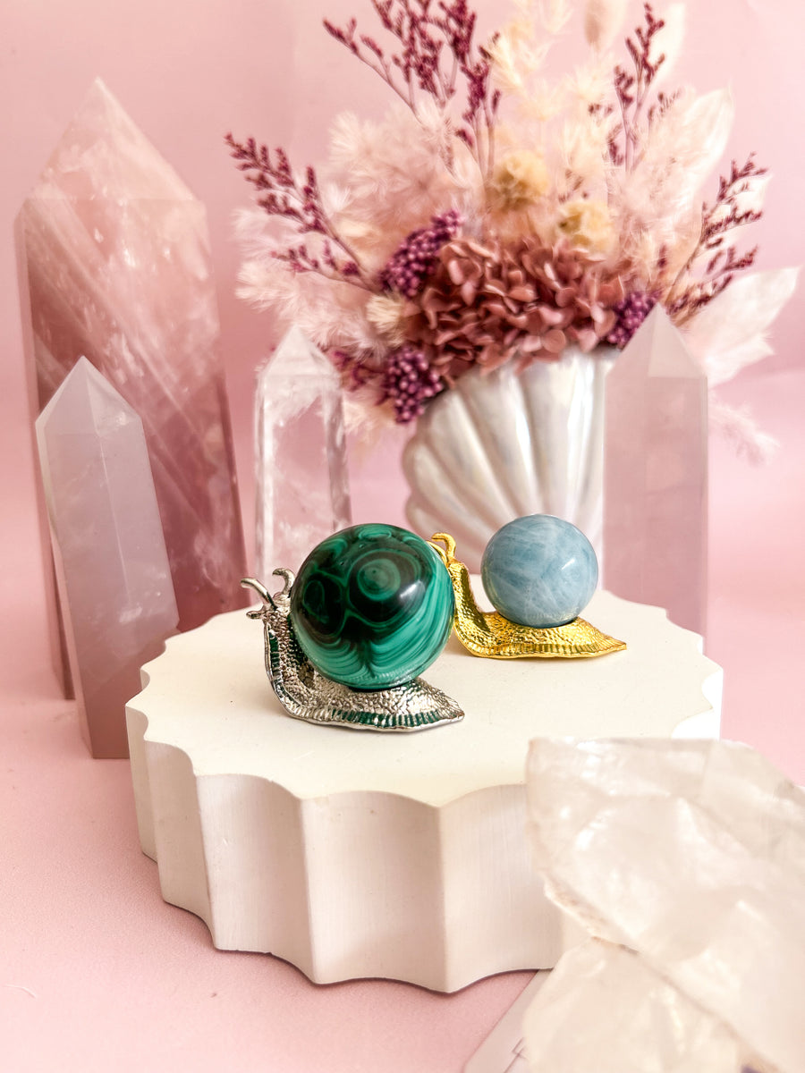 Snail Stand – Astara Collective